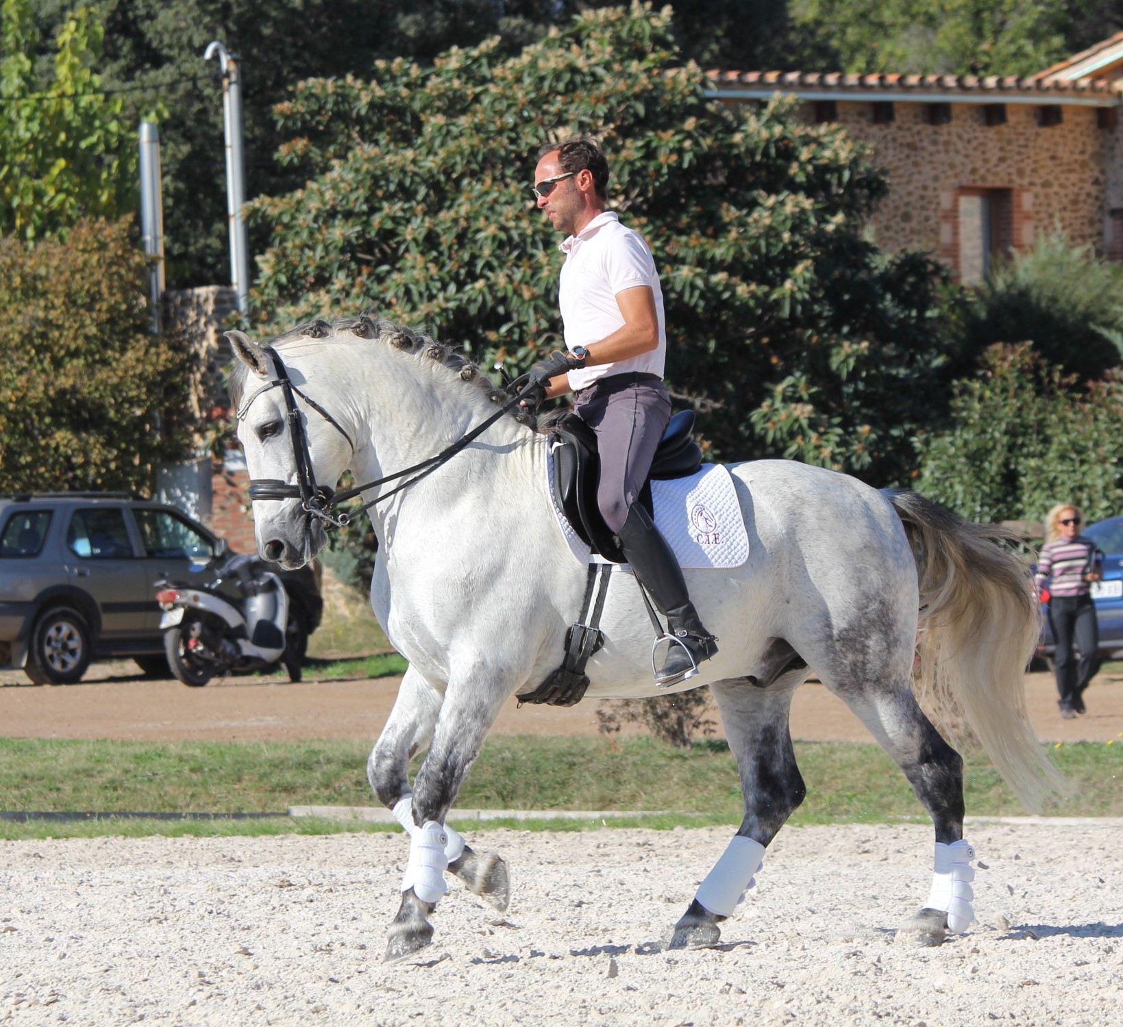 IMG_6613 – EquiPRE Chevaux ibériques Dressage Andalusian Horses